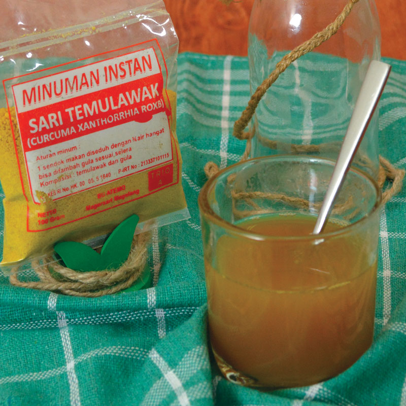 Minuman Temulawak ( 10 Pack )